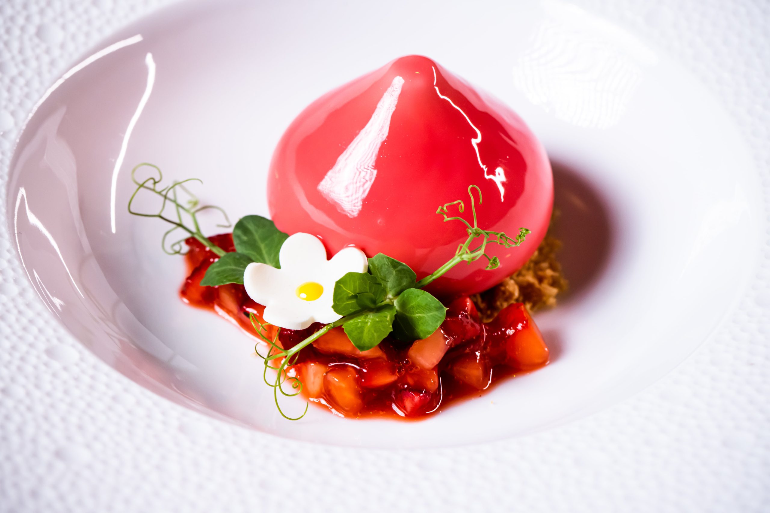 Gallery | JR Robuchon